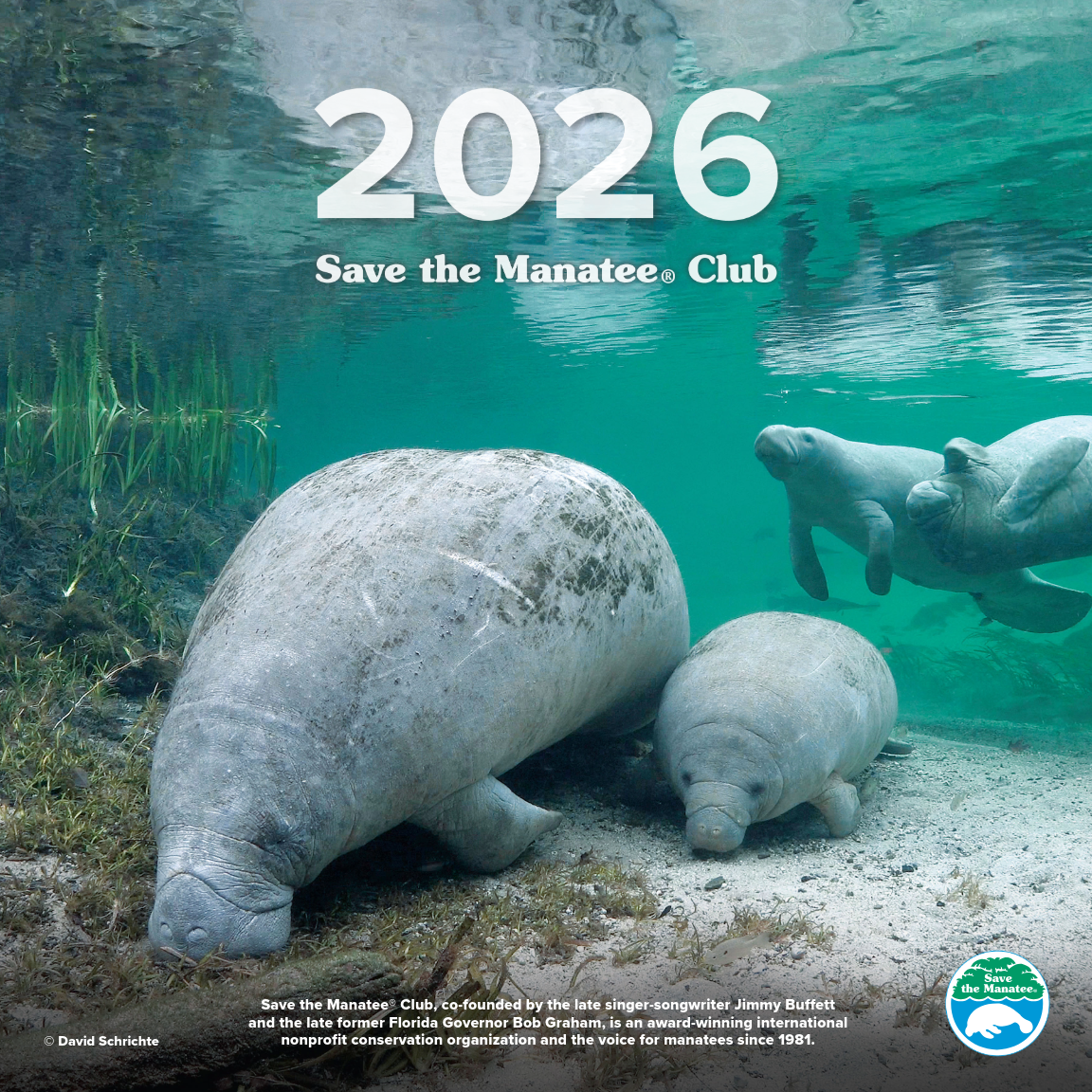 2026 Save the Manatee Club Calendar – The Manatee Store by Save the ...