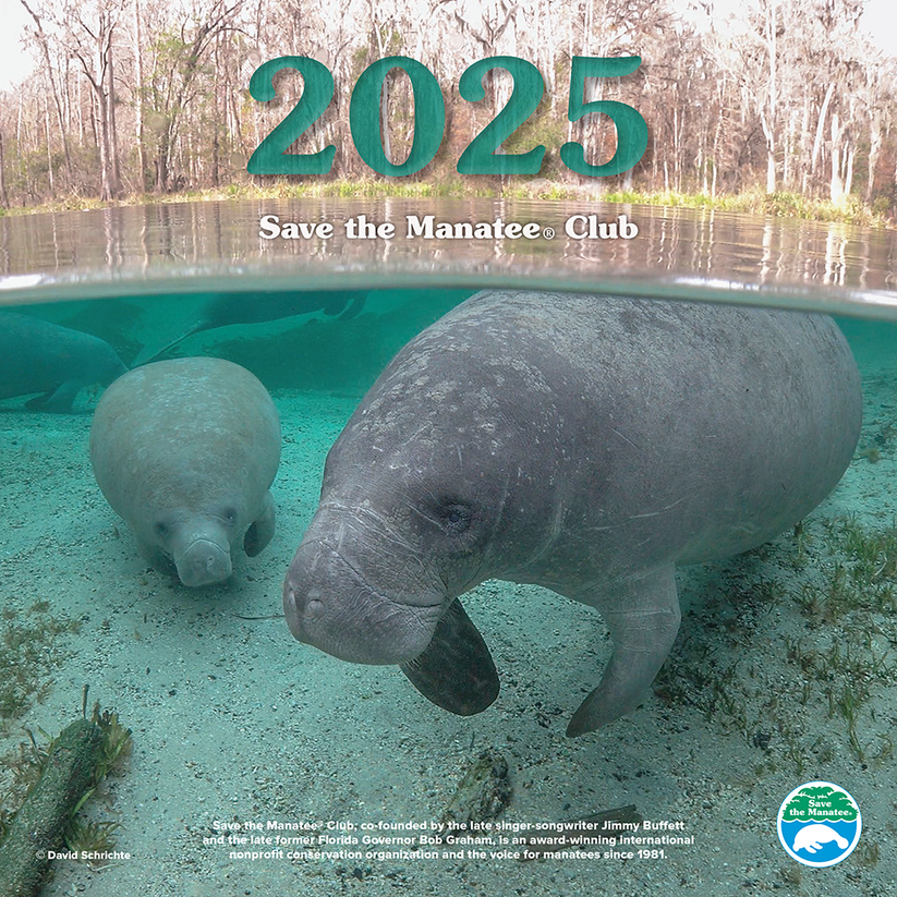 2025 Save the Manatee Club Calendar – The Manatee Store by Save the ...