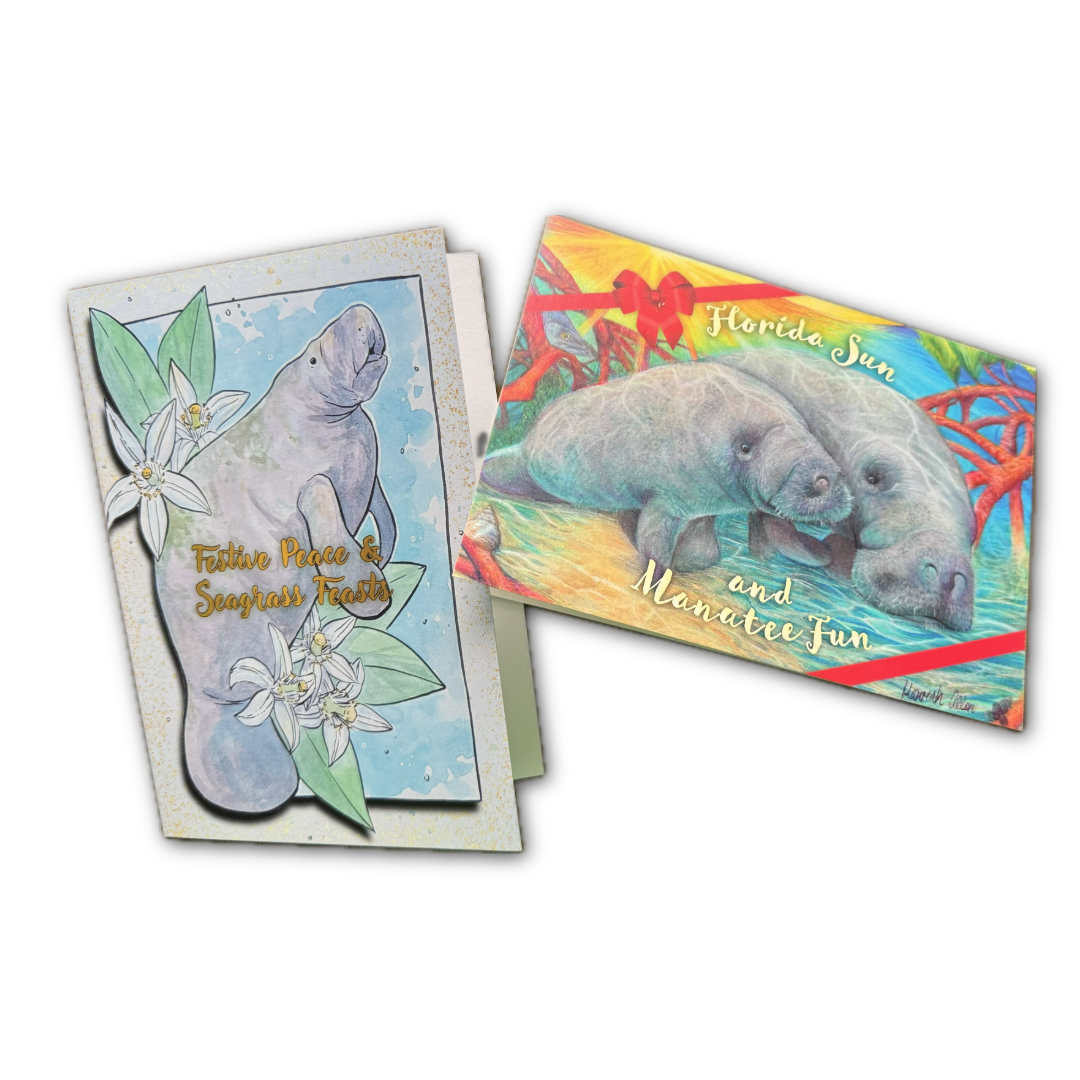 Holiday Card Set – 2025 SMC Art Contest Designs – The Manatee Store by ...