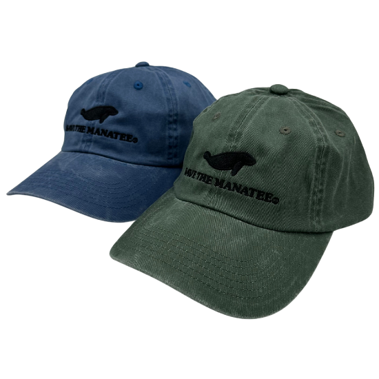 Save the Manatee Dad Hat – The Manatee Store by Save the Manatee Club