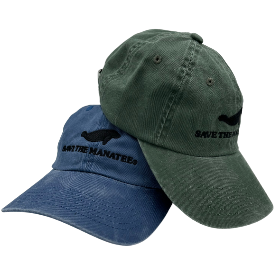 Save the Manatee Dad Hat – The Manatee Store by Save the Manatee Club