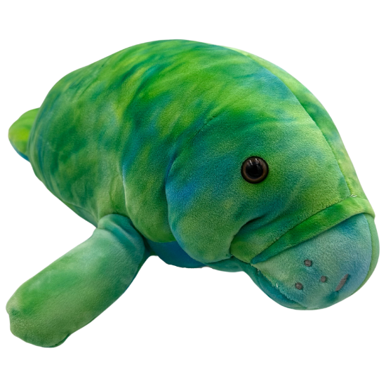 Adult Watercolor Manatee Plush – The Manatee Store by Save the Manatee Club